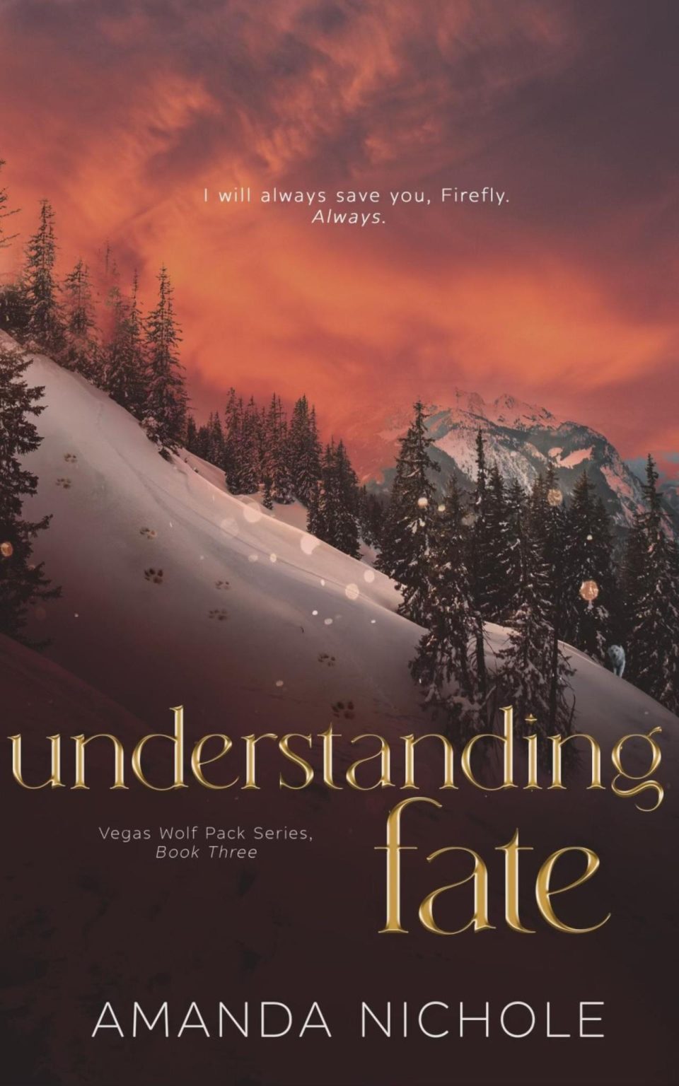 Author Amanda Nichole – Author Amanda Nichole Urban Fantasy Author